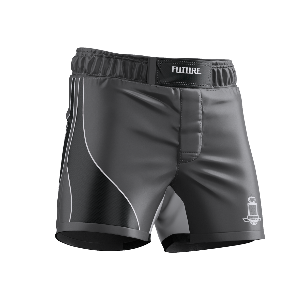 Gordon King Ryan 2020 - Fight Shorts Grey – EARN THE GLORY